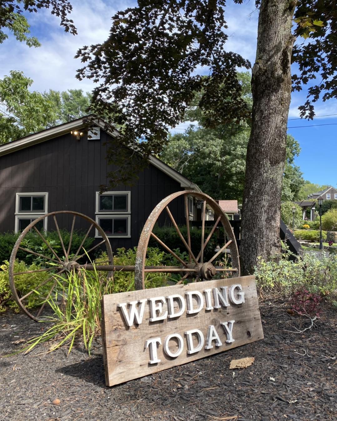 Discover the Unique Magic of Tamarack Lodge and Glamping Resort ...